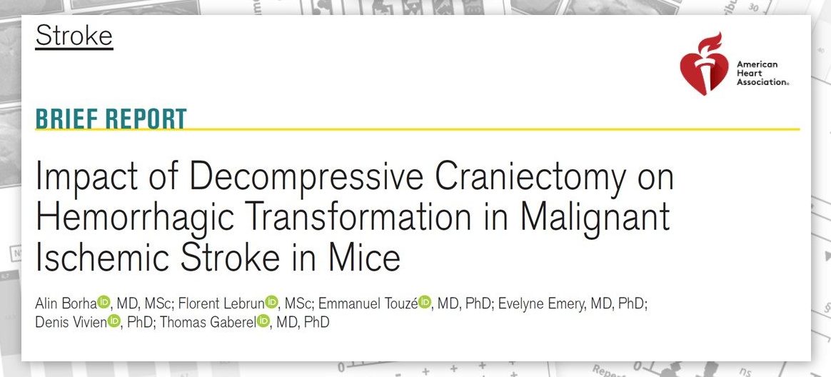New paper in STROKE - Strok@lliance